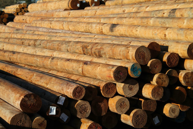 Utility Poles | NZ POLES